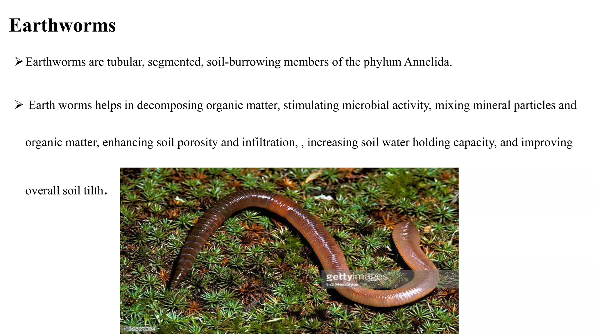 soilbiologicall properties.pptx