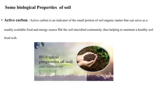 soilbiologicall properties.pptx