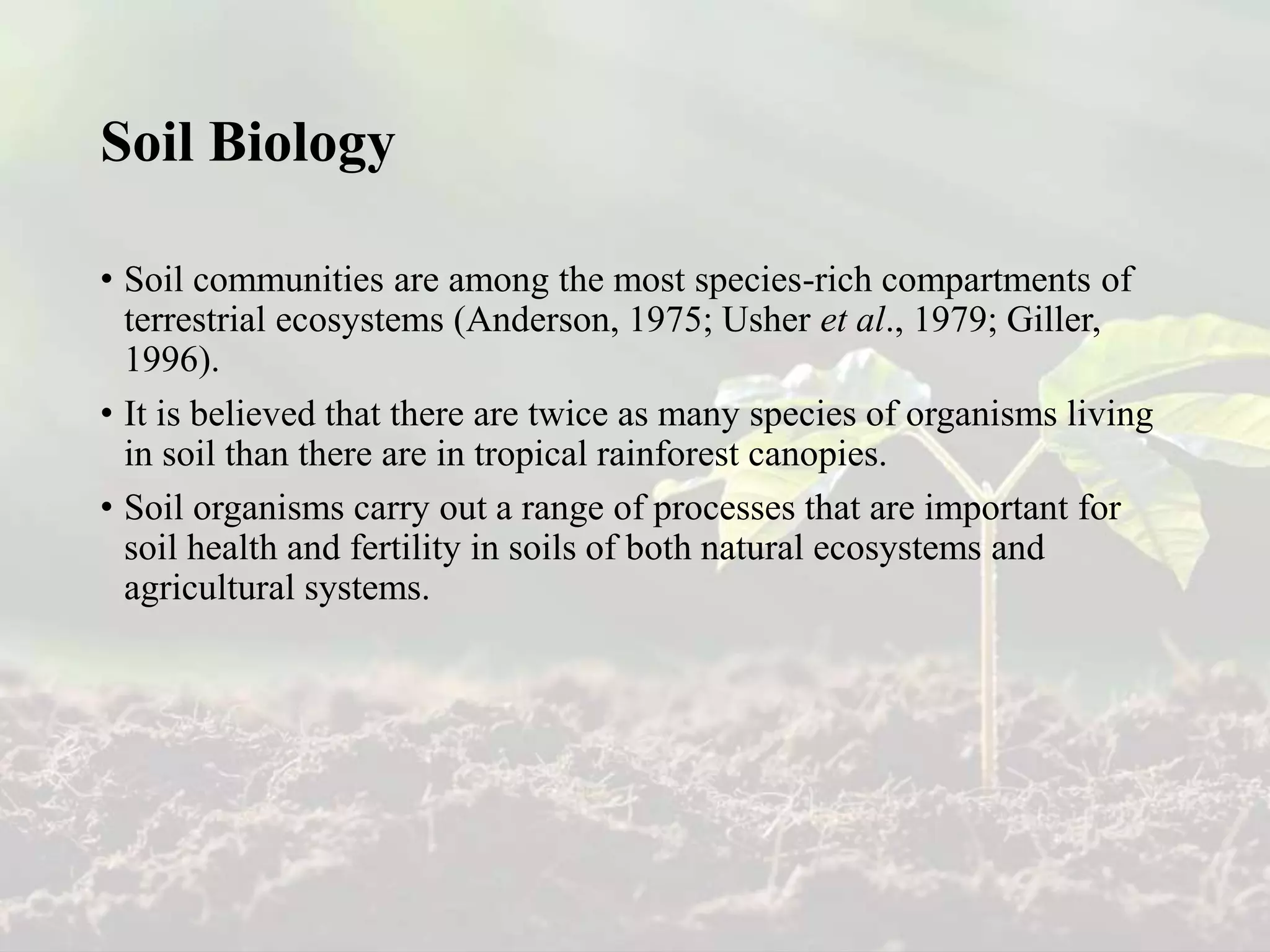 Soil biology | PPTX
