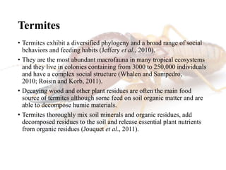 Soil biology | PPTX