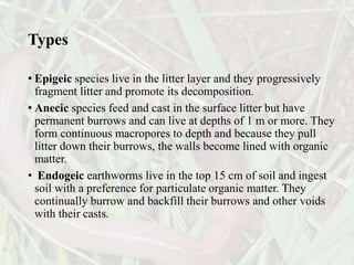 Soil biology | PPTX