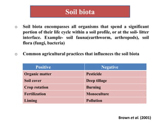 Soil biota their resistance and resilience | PPT