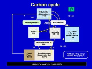 Soil bio technology | PPT
