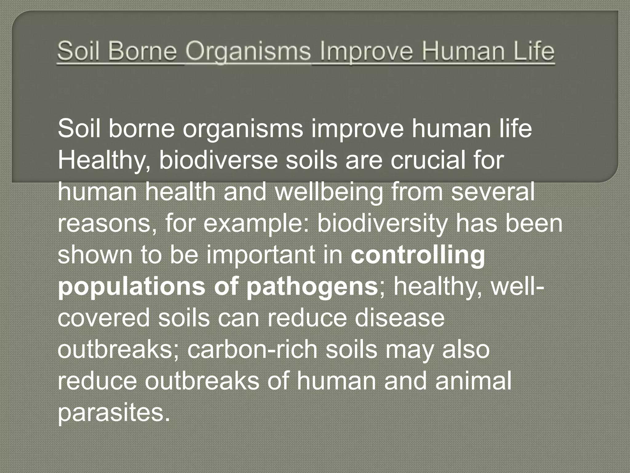 Soil born disease In Human.pptx