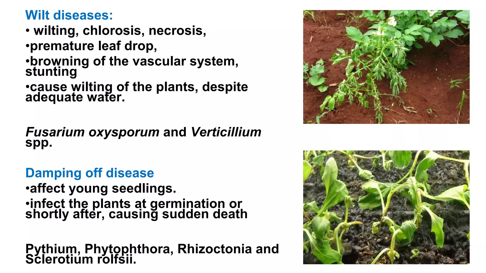 Soil borne pathogen and their impact | PPT