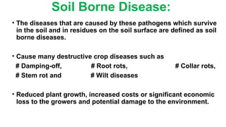 Soil borne pathogen and their impact | PPT