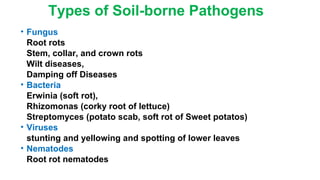 Soil borne pathogen and their impact | PPT