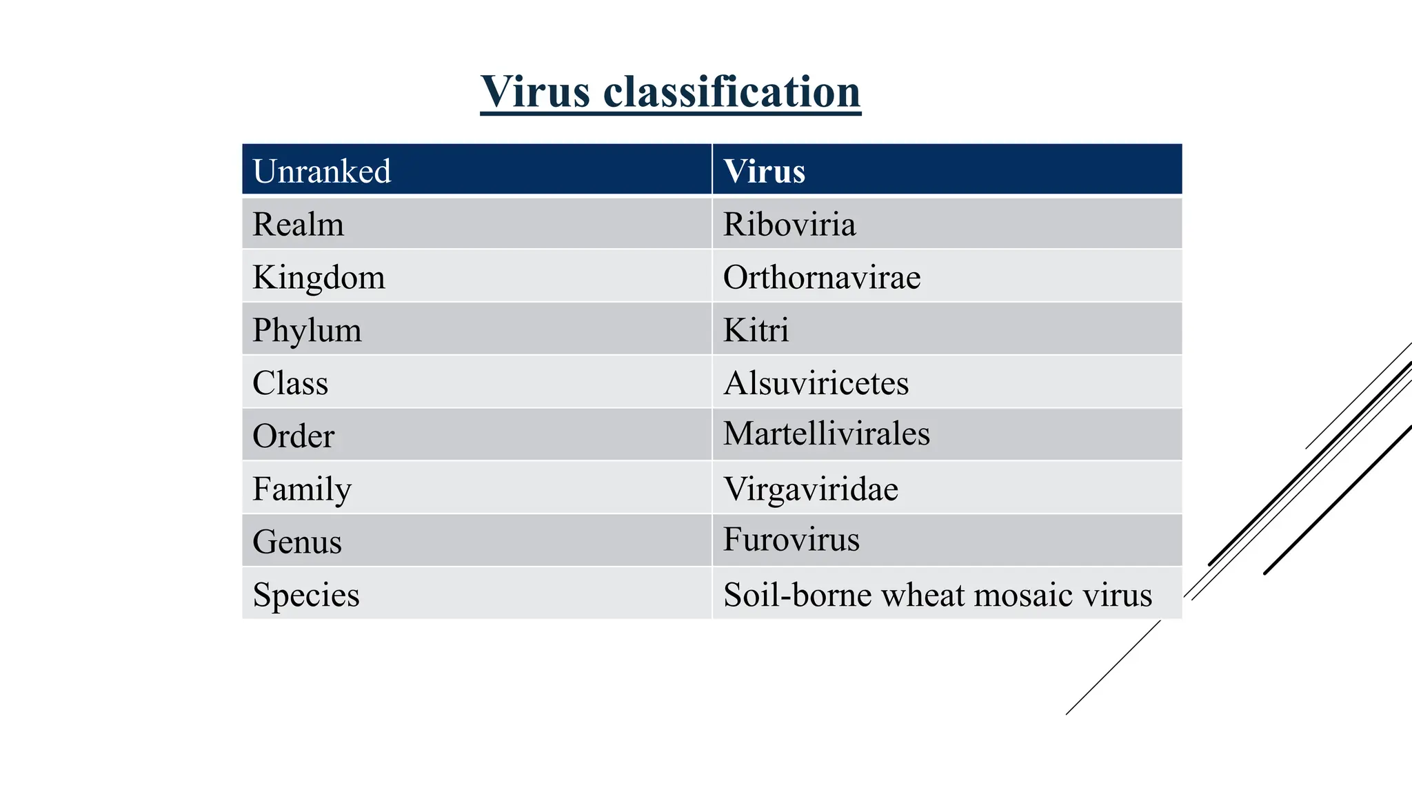 Soil borne wheat mosaic virus.pptx