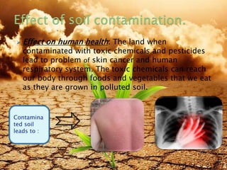 Effects Of Soil Pollution On Human Health