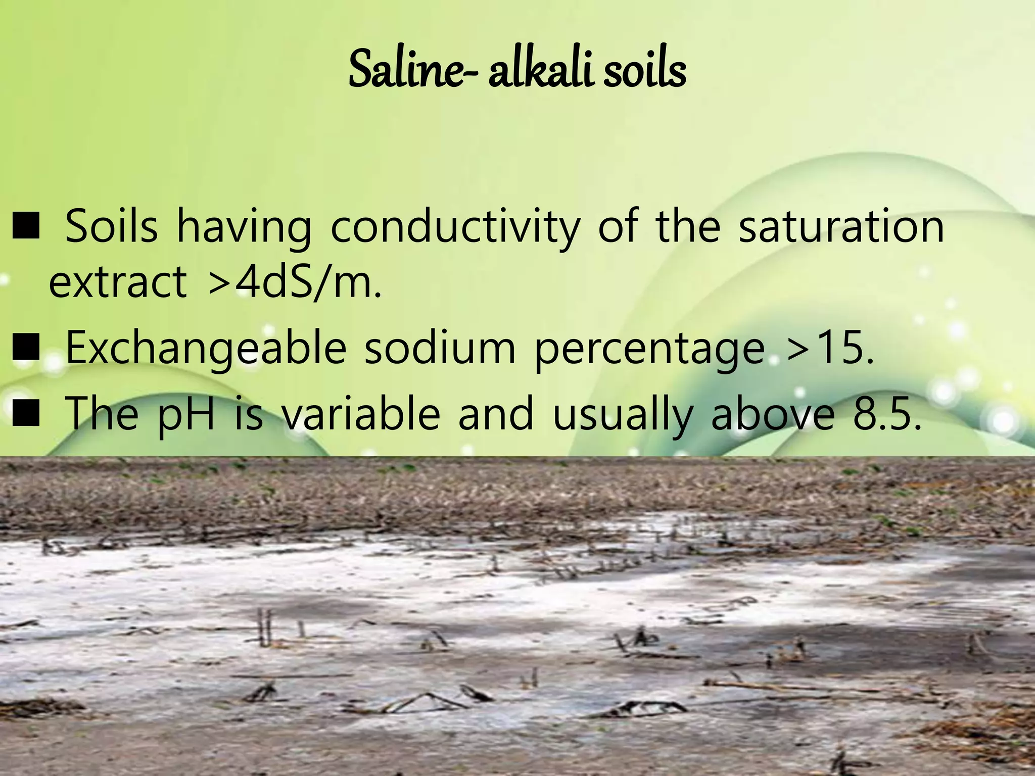 INTEGRATED APPROACH FOR MANAGEMENT OF SALINE AND SODIC SOILS BY SUPRIYA ...