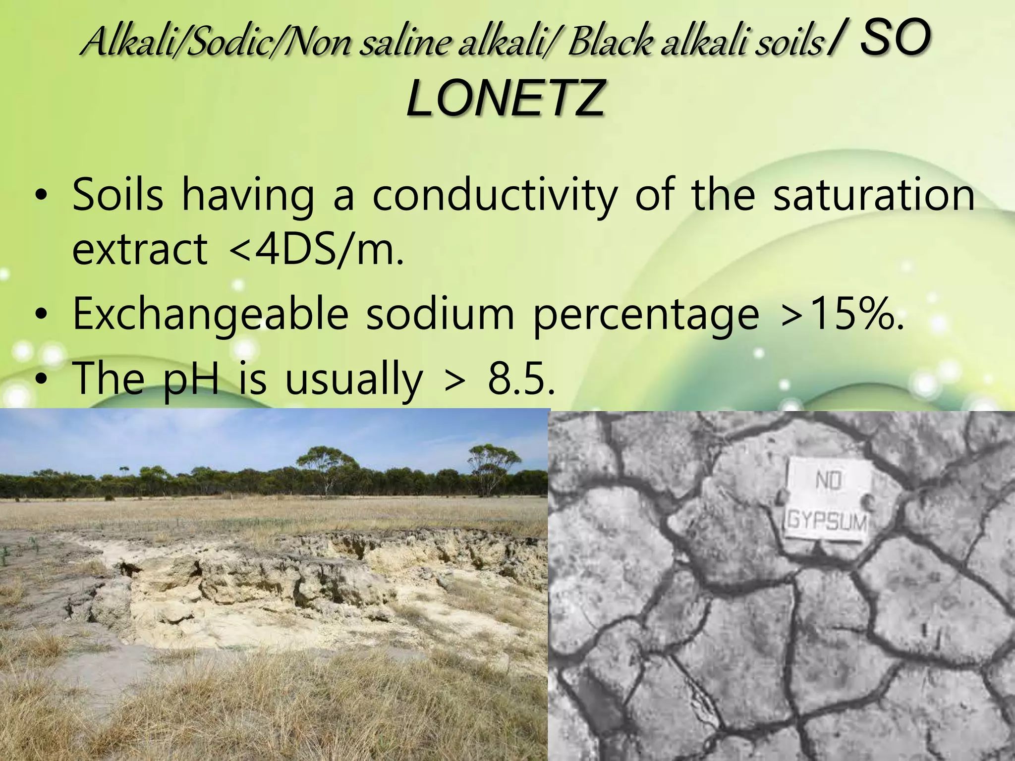 INTEGRATED APPROACH FOR MANAGEMENT OF SALINE AND SODIC SOILS BY SUPRIYA ...