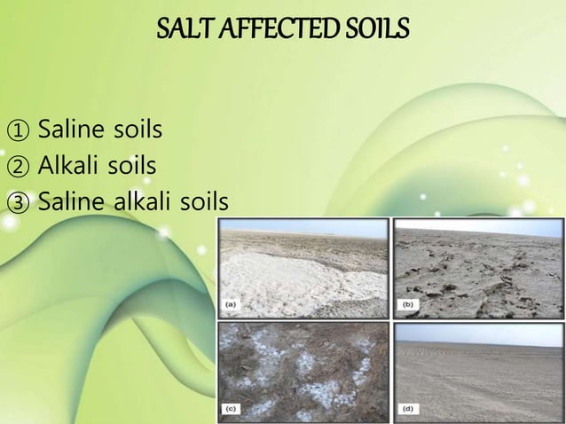 INTEGRATED APPROACH FOR MANAGEMENT OF SALINE AND SODIC SOILS BY SUPRIYA ...