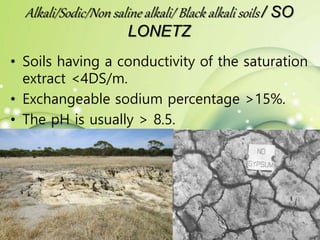 INTEGRATED APPROACH FOR MANAGEMENT OF SALINE AND SODIC SOILS BY SUPRIYA ...