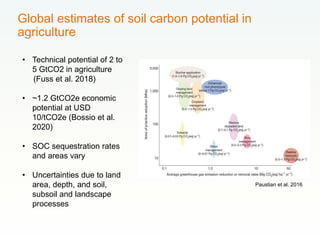 Soil carbon: Potentials recognized – but how to implement? | PPTX