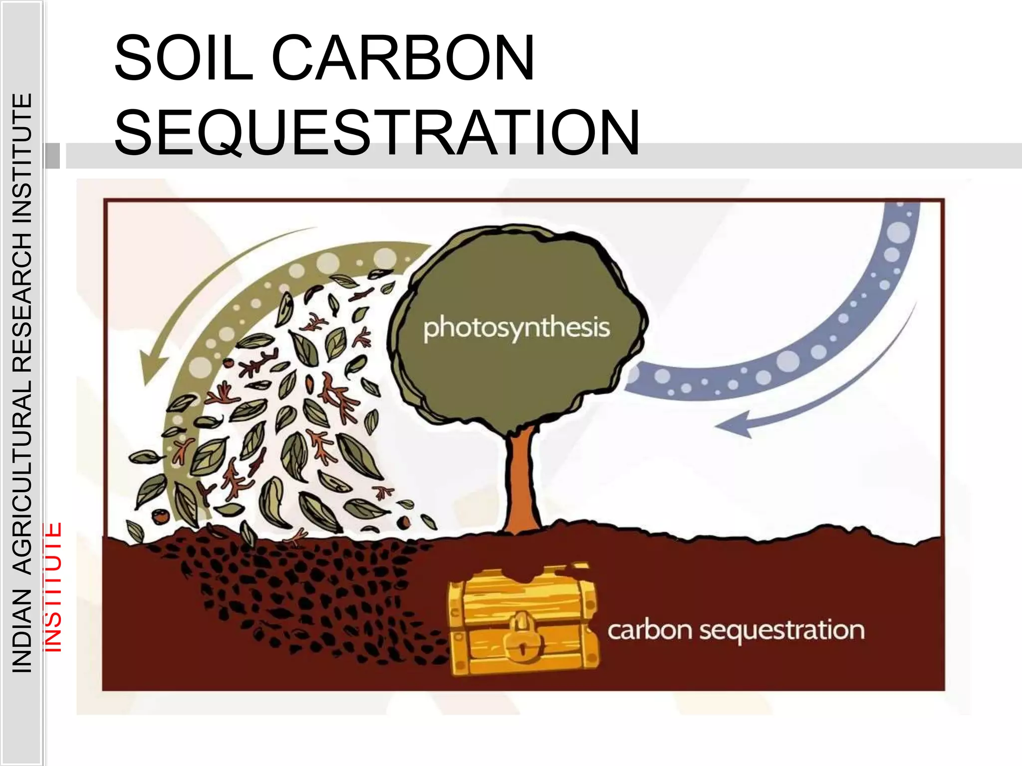 Soil carbon saturation | PPTX