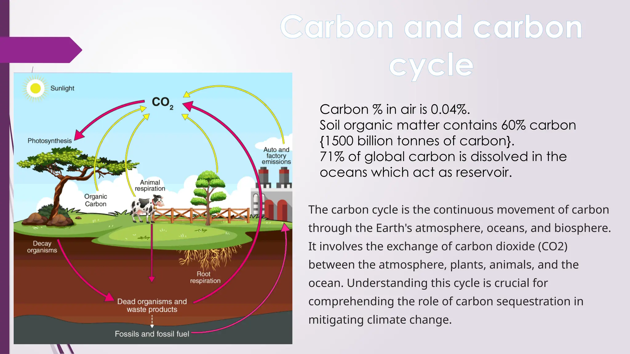 soil carbon seqestration pooja 14.pptx presentation | PPTX