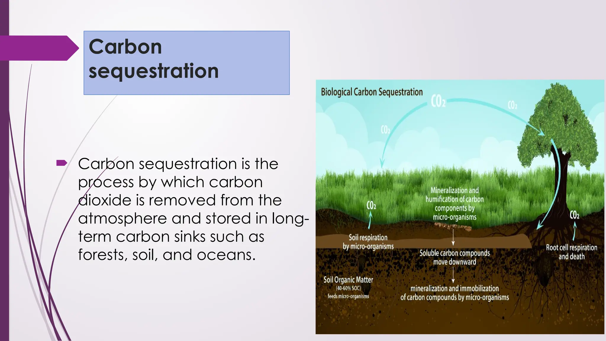 soil carbon seqestration pooja 14.pptx presentation | PPTX
