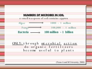 Soil as Habitat for Microbes - chemical properties | PPT
