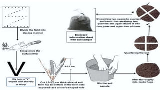 Soil Chemistry.pptx