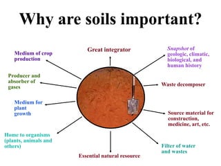 Nature of soil formation and types | PPTX
