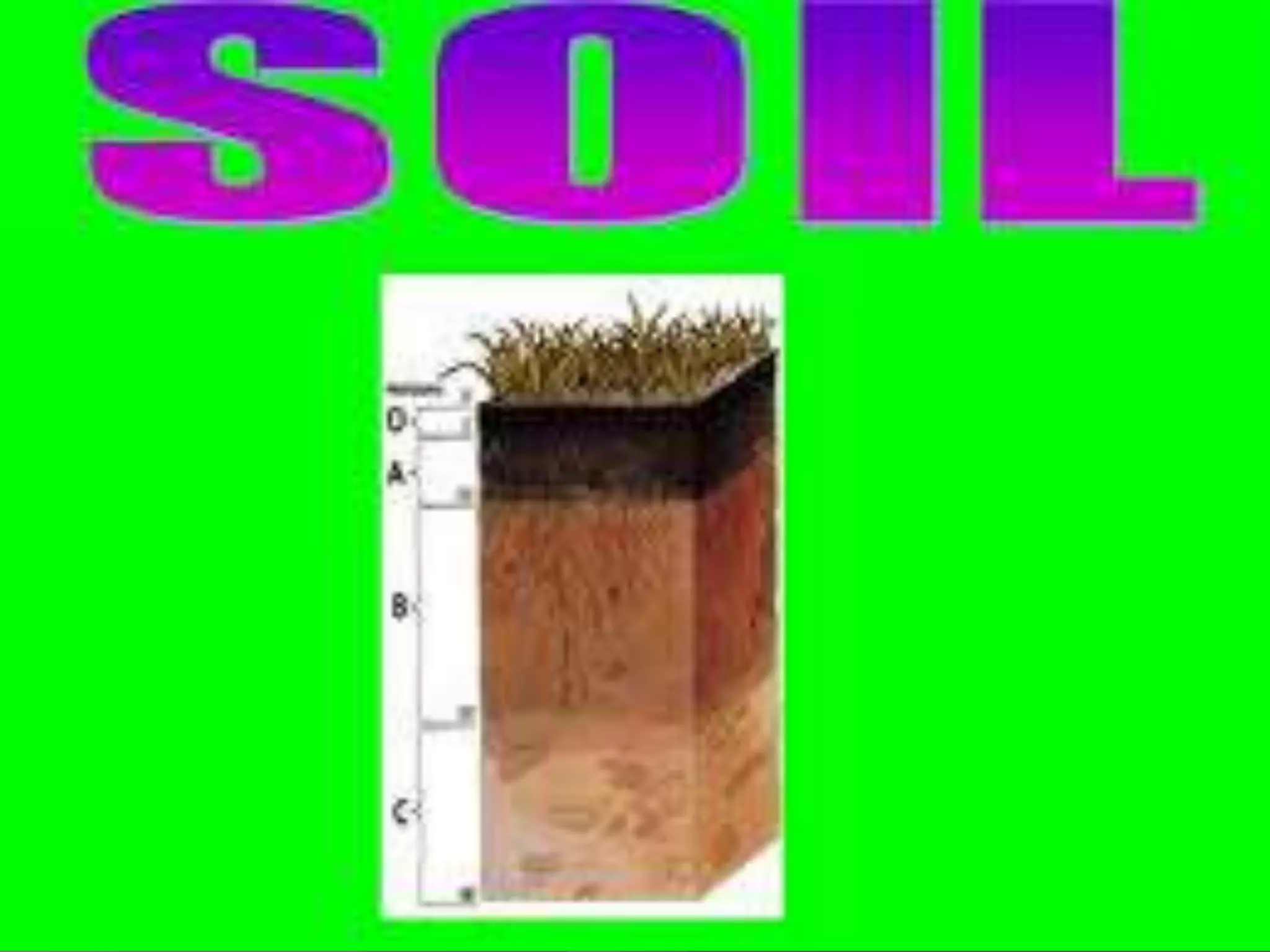 Soil FOR CLASS 7 AND ABOVE | PPTX