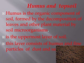 Soil FOR CLASS 7 AND ABOVE | PPTX