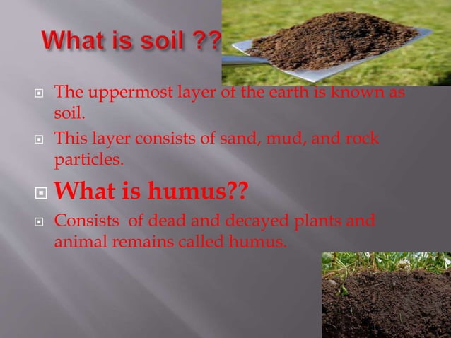 Soil FOR CLASS 7 AND ABOVE | PPTX