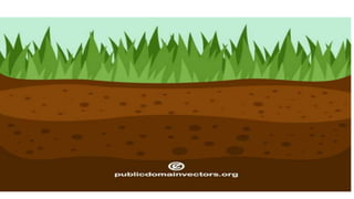 Soil class 5 | PPTX