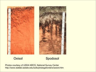 Soil classificatin | PPT