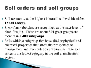 Soil classification | PPTX