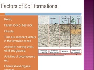 Soil class VIII | PPTX