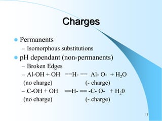 Soil colloidal chemistry | PDF