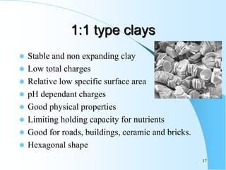 Soil colloidal chemistry | PDF