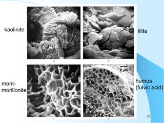 Soil colloidal chemistry | PDF