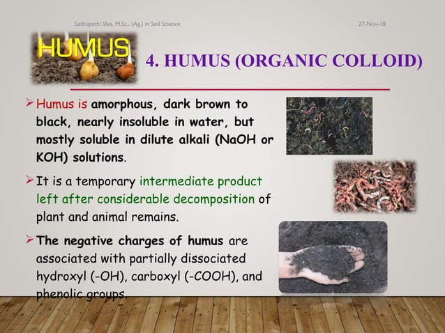 Soil colloids | PPT | Chemistry | Science