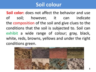 Soil colour | PPTX | Gardening | Home & Garden
