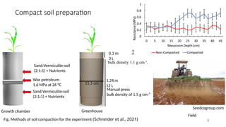 Soil compaction and root penetration.pptx