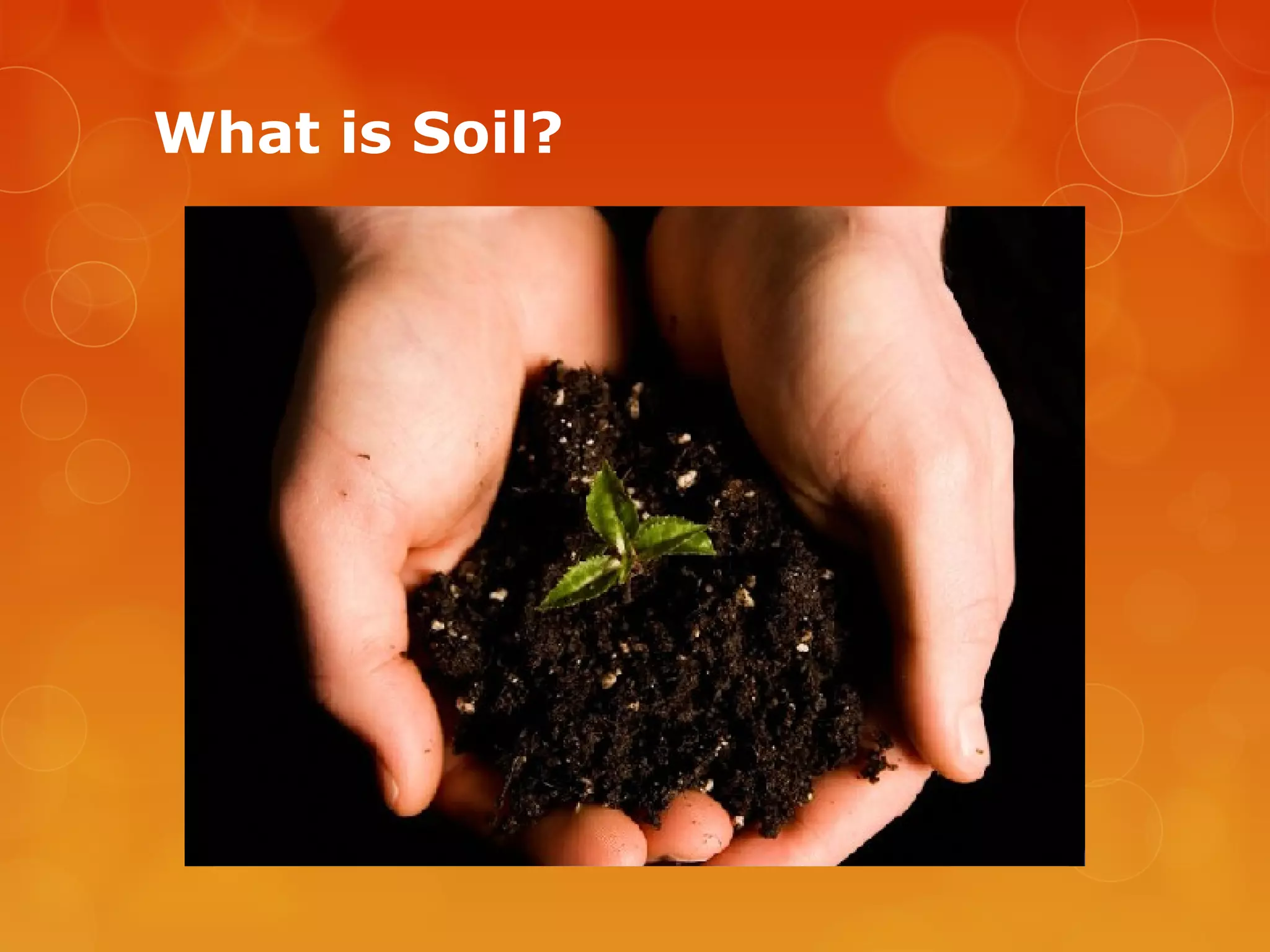 Soil composition | PPT