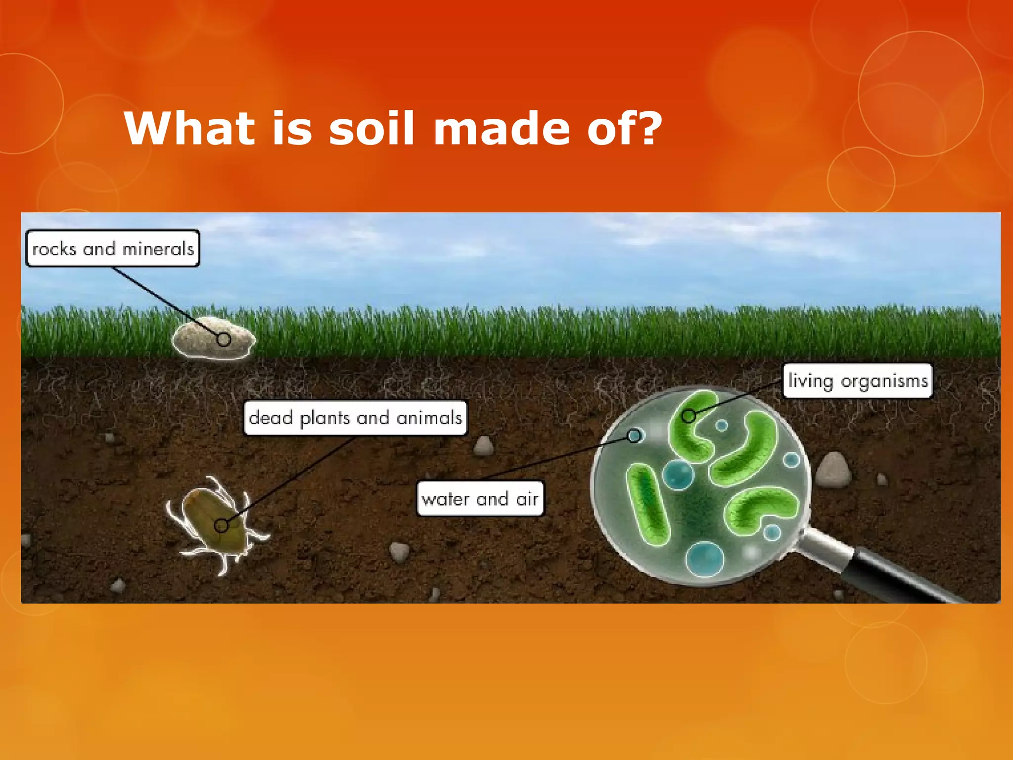 Soil composition | PPT