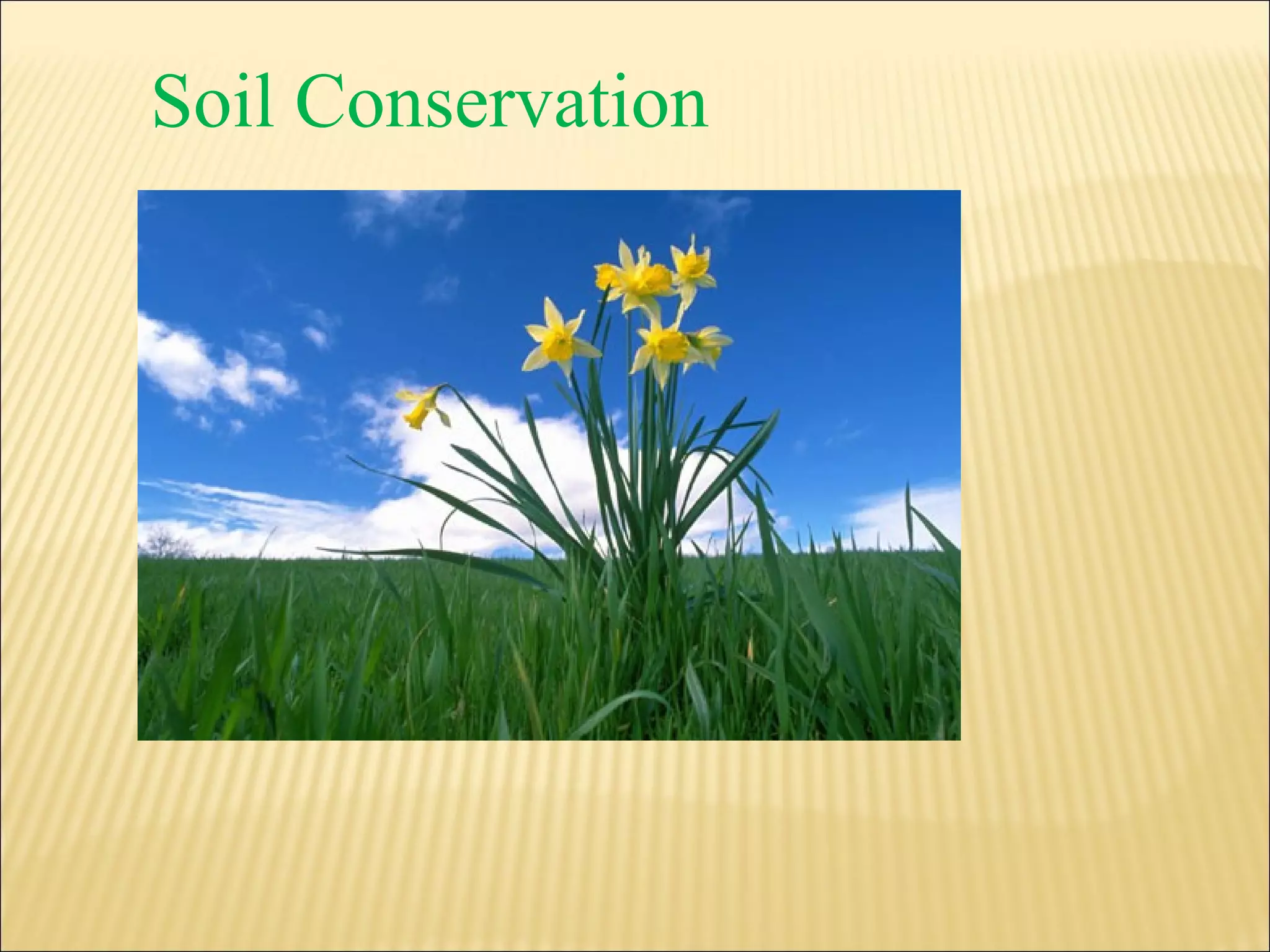 Soil conservation | PPT