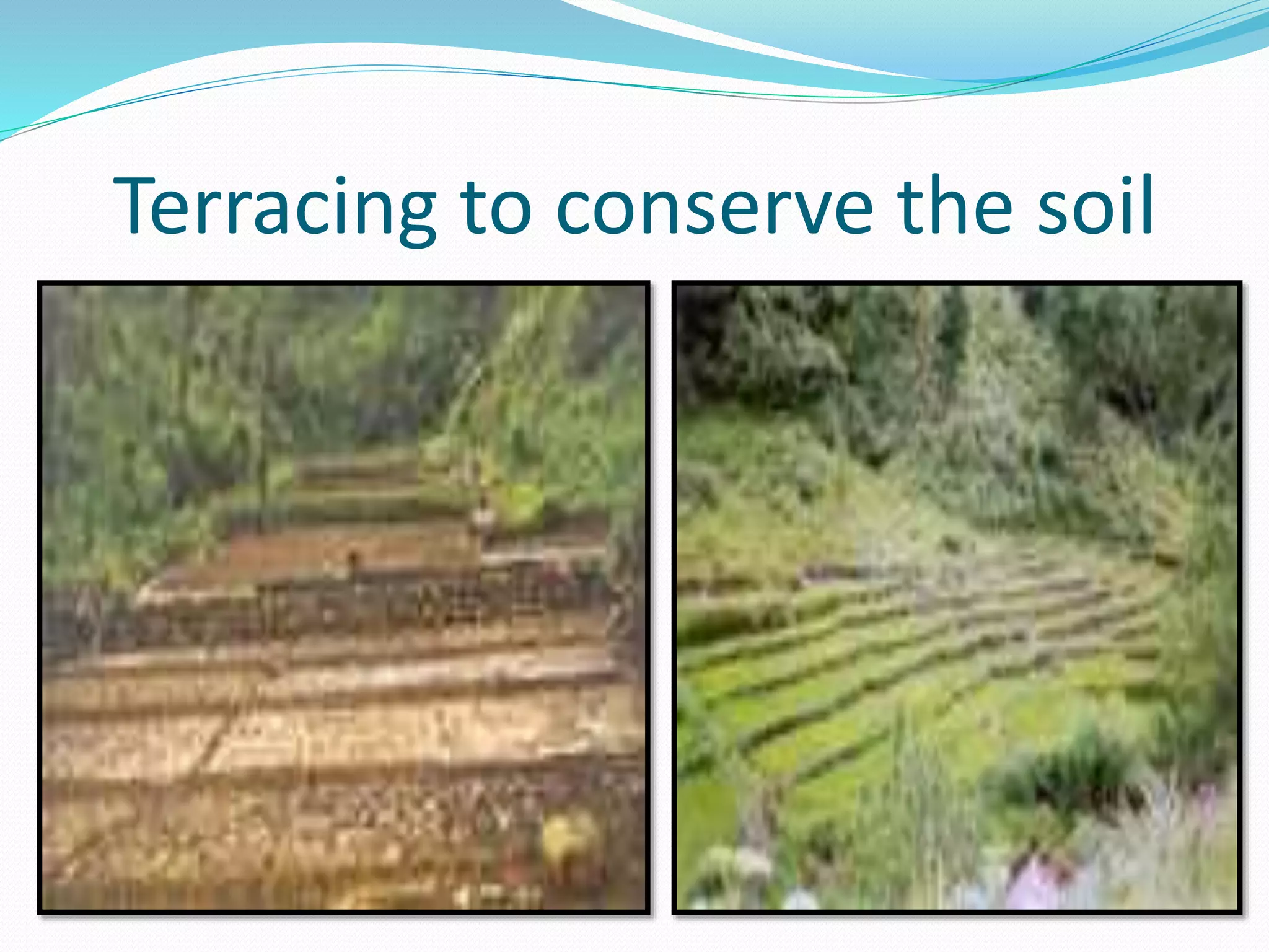 Soil conservation ppt | PPTX