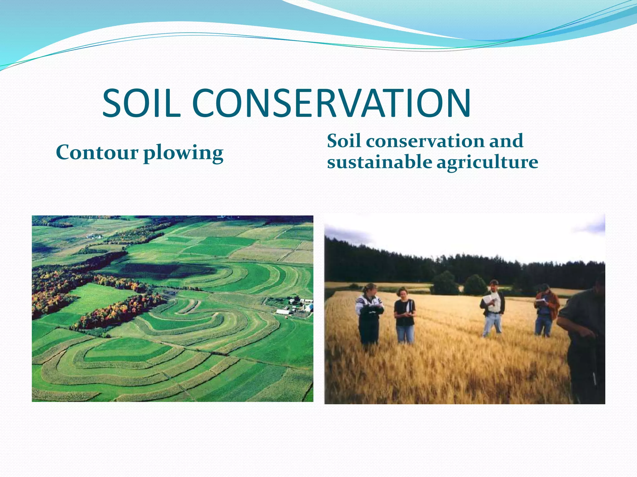 Soil conservation ppt | PPTX
