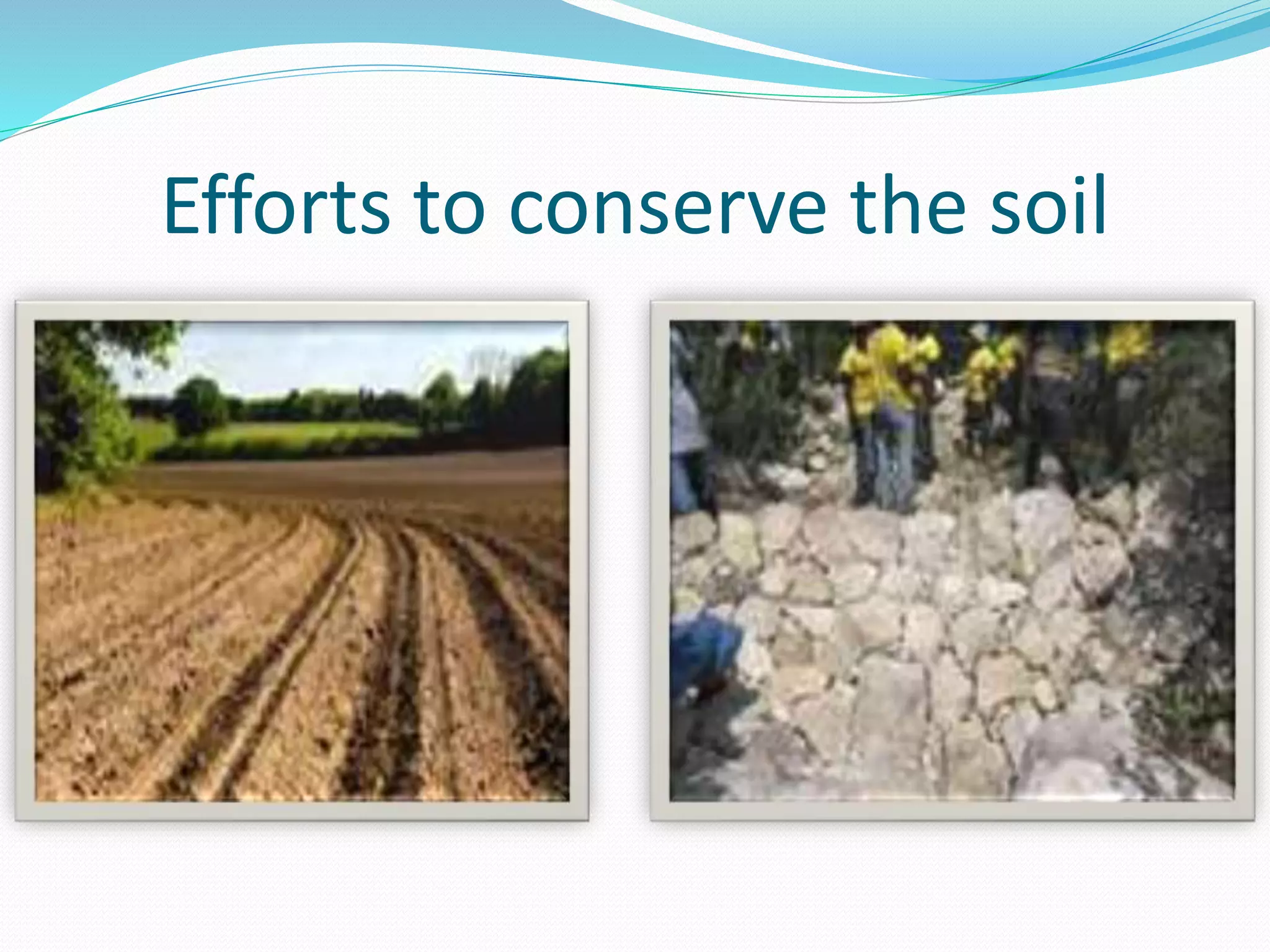 Soil conservation ppt | PPTX