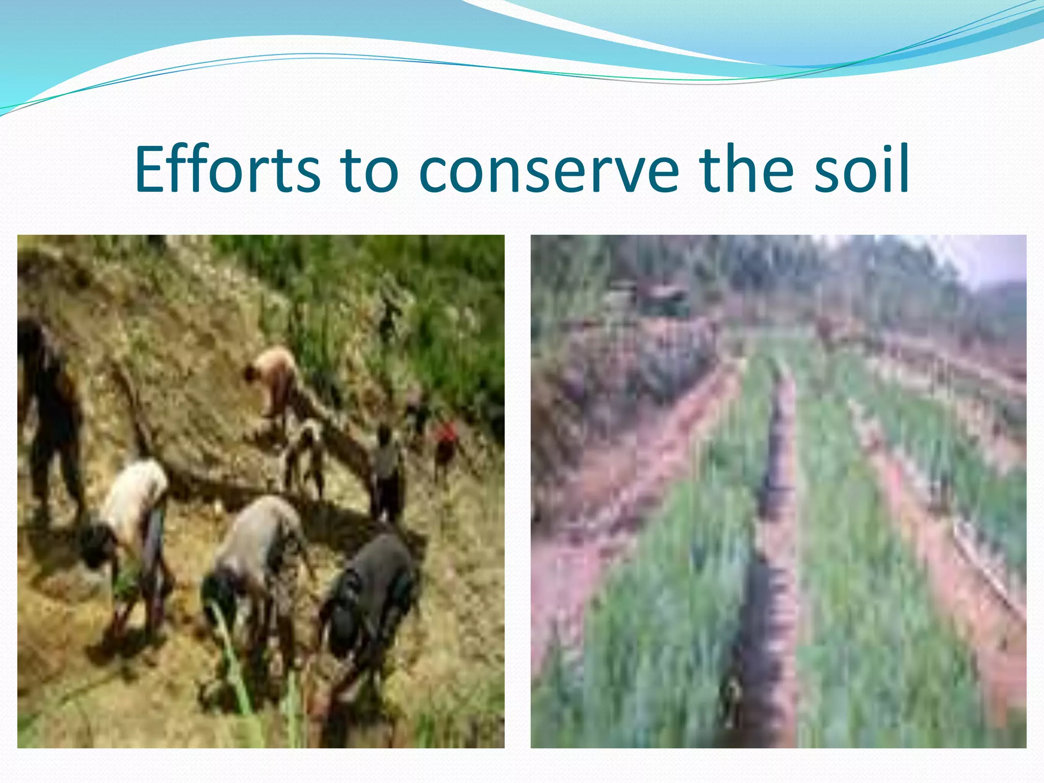 Soil conservation ppt | PPTX