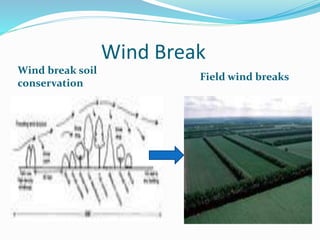 Soil conservation ppt | PPTX