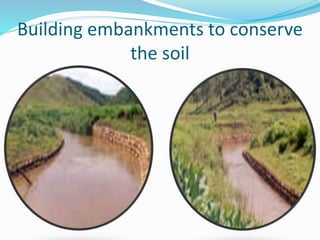 Soil conservation ppt | PPT