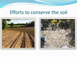 Soil conservation ppt | PPT