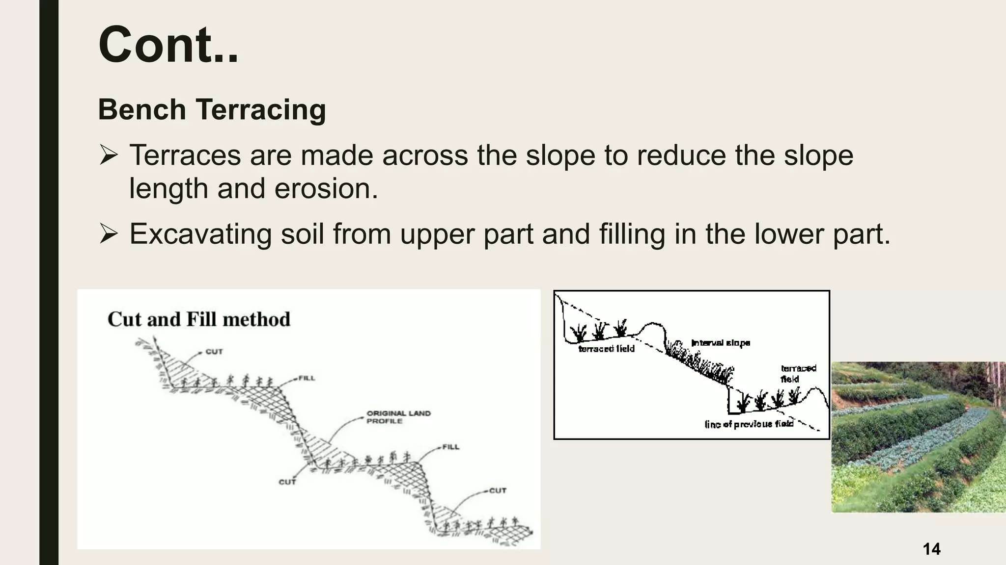 Soil conservation | PPTX