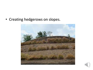 Soil conservation and it´s importance for agriculture and | PPTX
