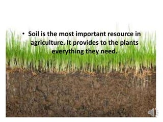 Soil conservation and it´s importance for agriculture and | PPTX
